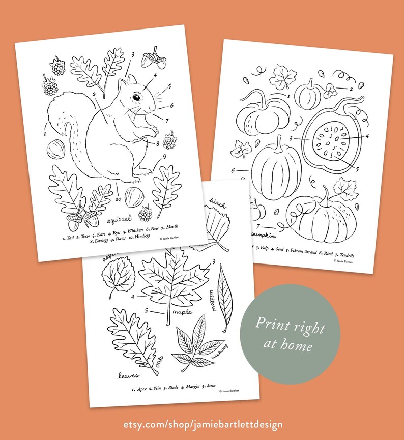 Fall Coloring Pages, Kids Autumn Anatomy Printable, Apple, Pumpkin ...