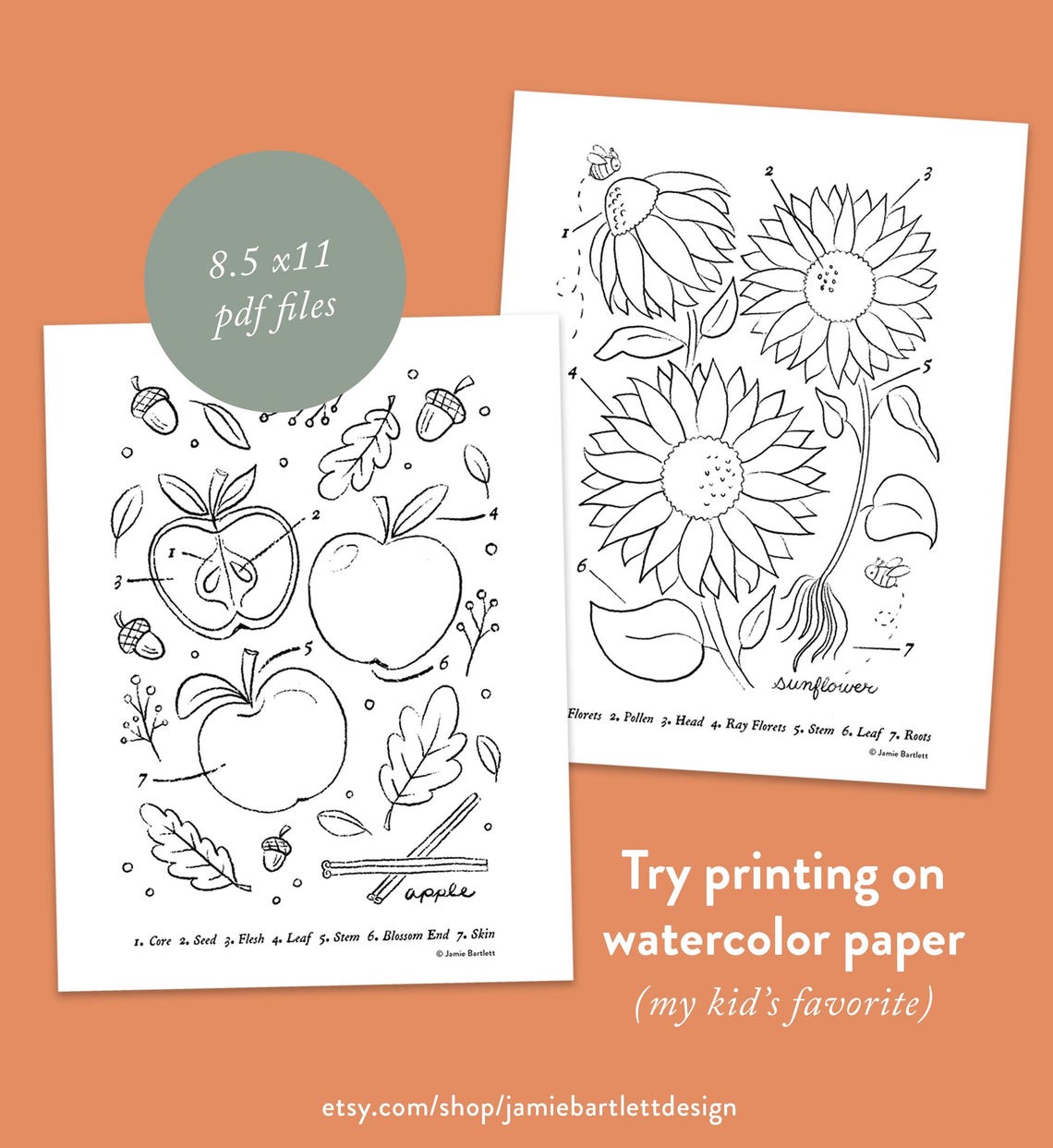 Fall Coloring Pages, Kids Autumn Anatomy Printable, Apple, Pumpkin ...