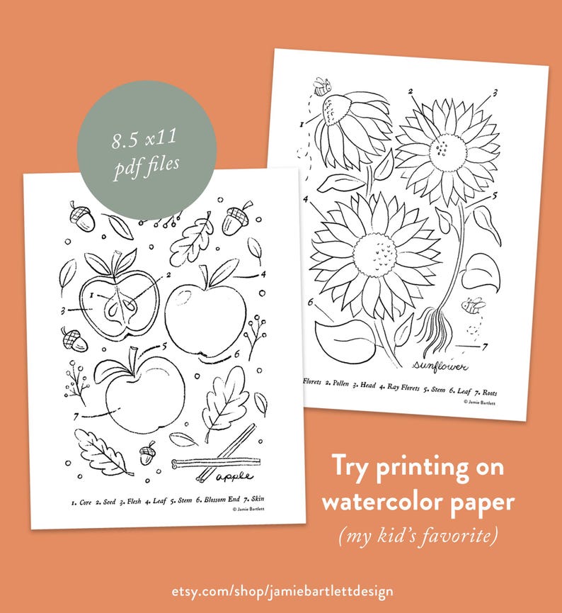 Fall Coloring Pages, Kids Autumn Anatomy Printable, Apple, Pumpkin ...