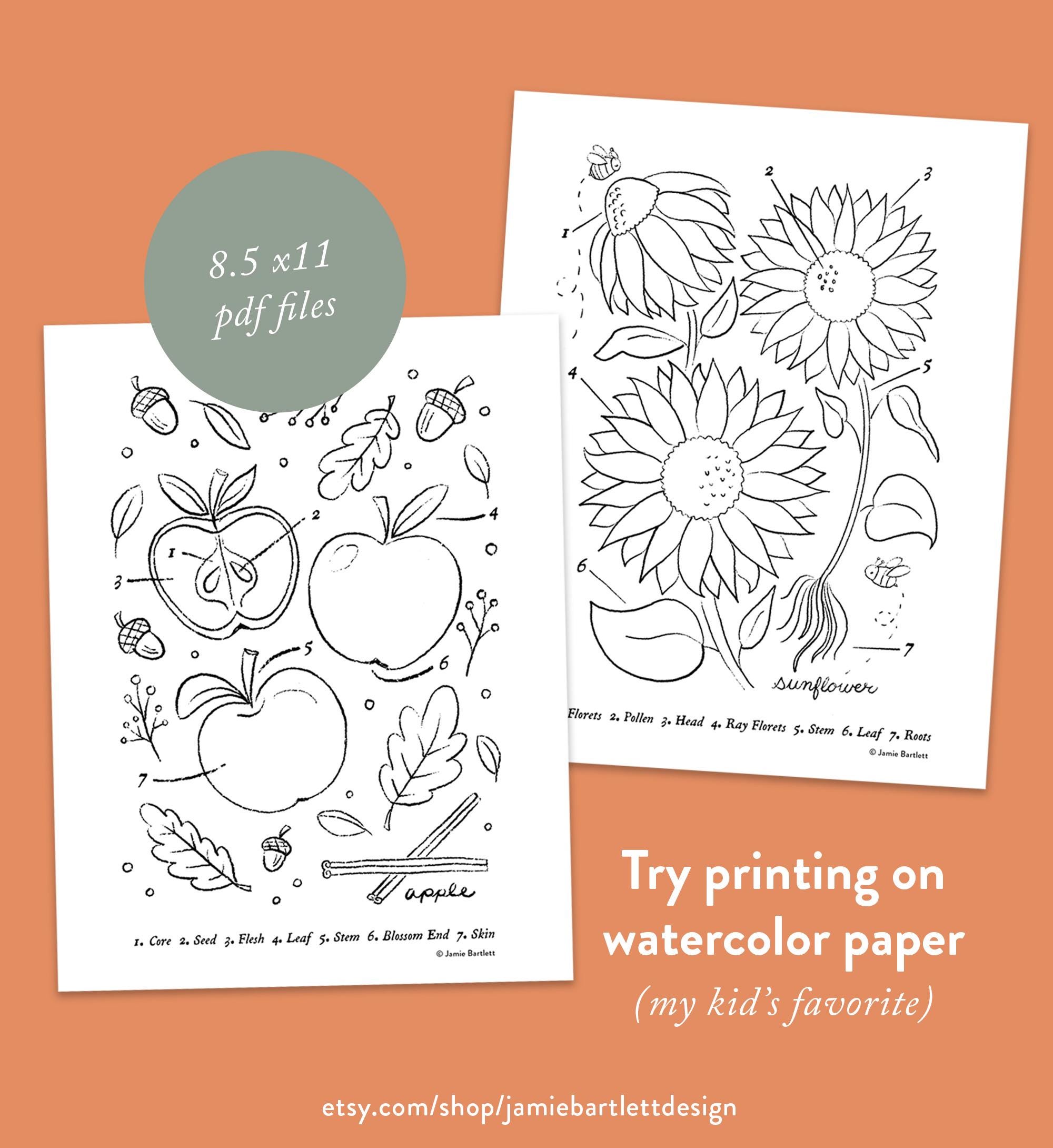 Fall Coloring Pages, Kids Autumn Anatomy Printable, Apple, Pumpkin ...