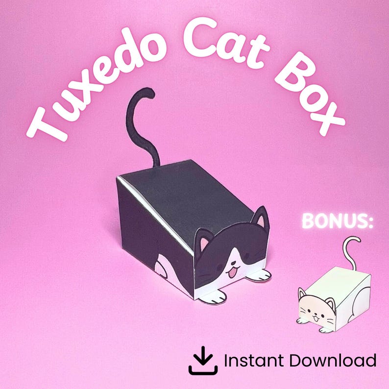 Tuxedo Cat Box Craft Printable Template for Kids Birthday Party Favor ...