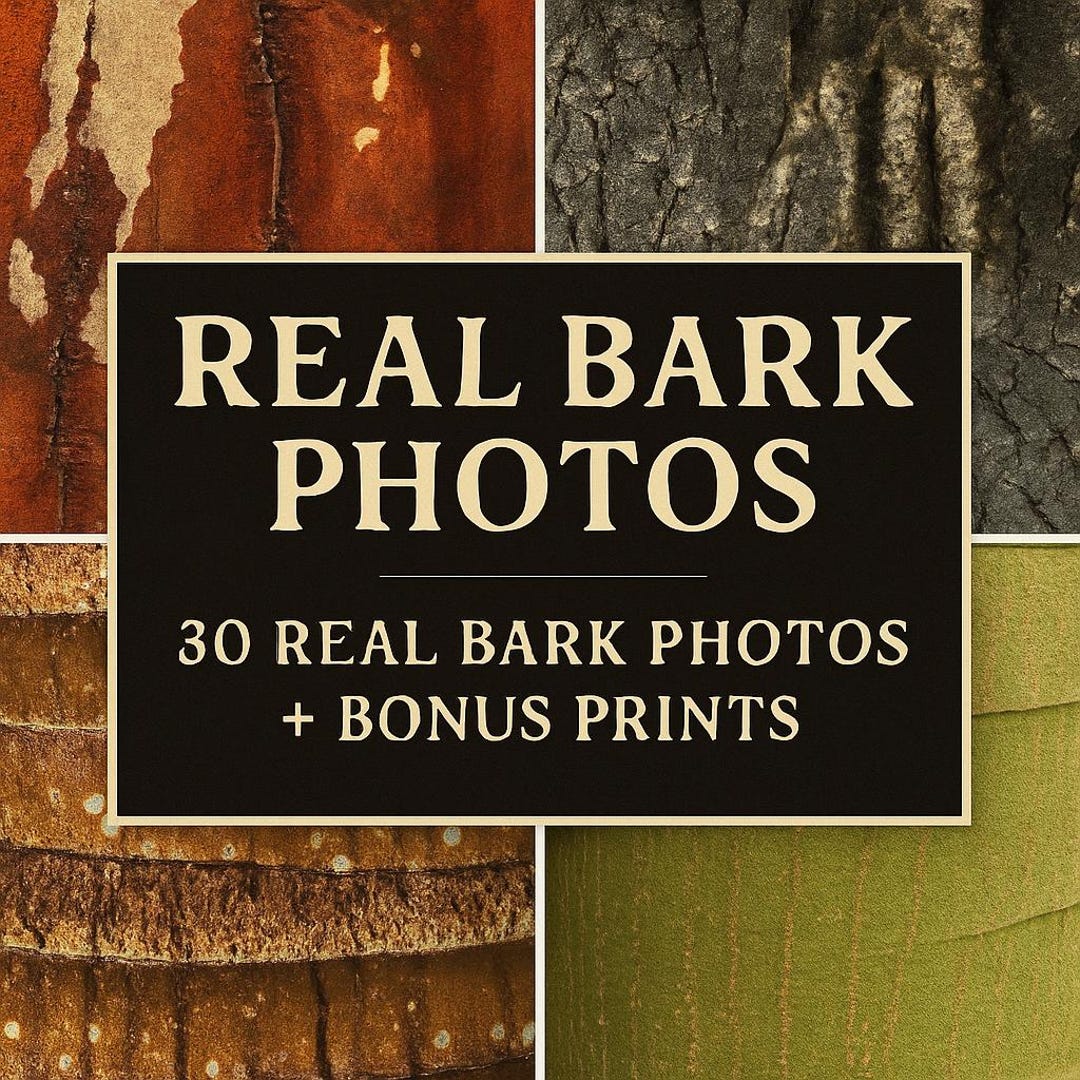 30 Photos Set Tree Bark. for Designers, Living Room, Men's Office ...
