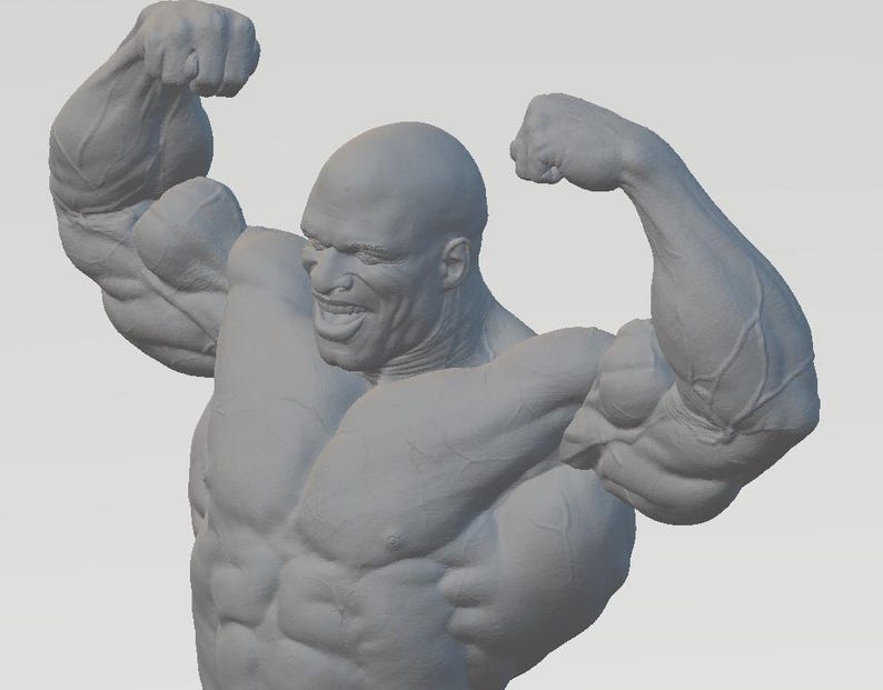 Ronnie Coleman 3D Print Model STL - Bodybuilding Legend (digital ...