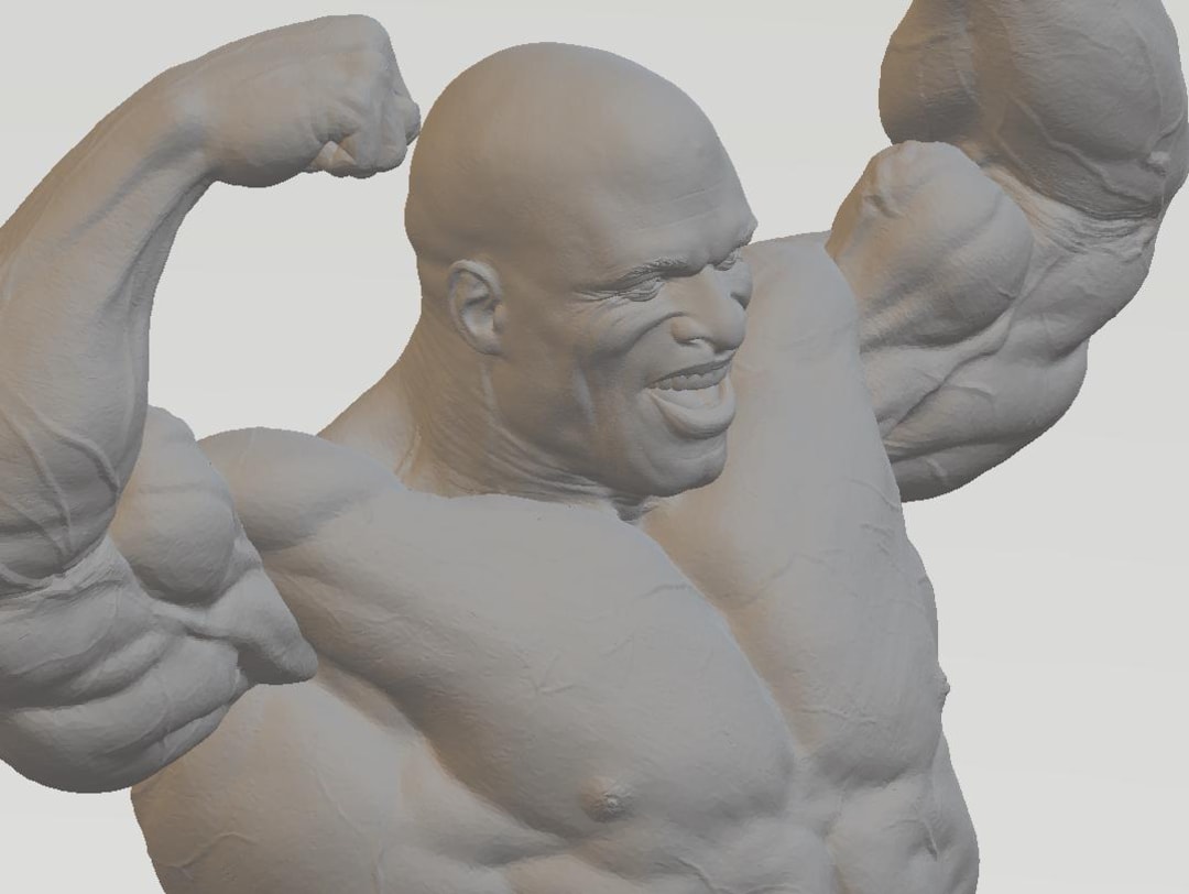 Ronnie Coleman 3D Print Model STL - Bodybuilding Legend (digital ...