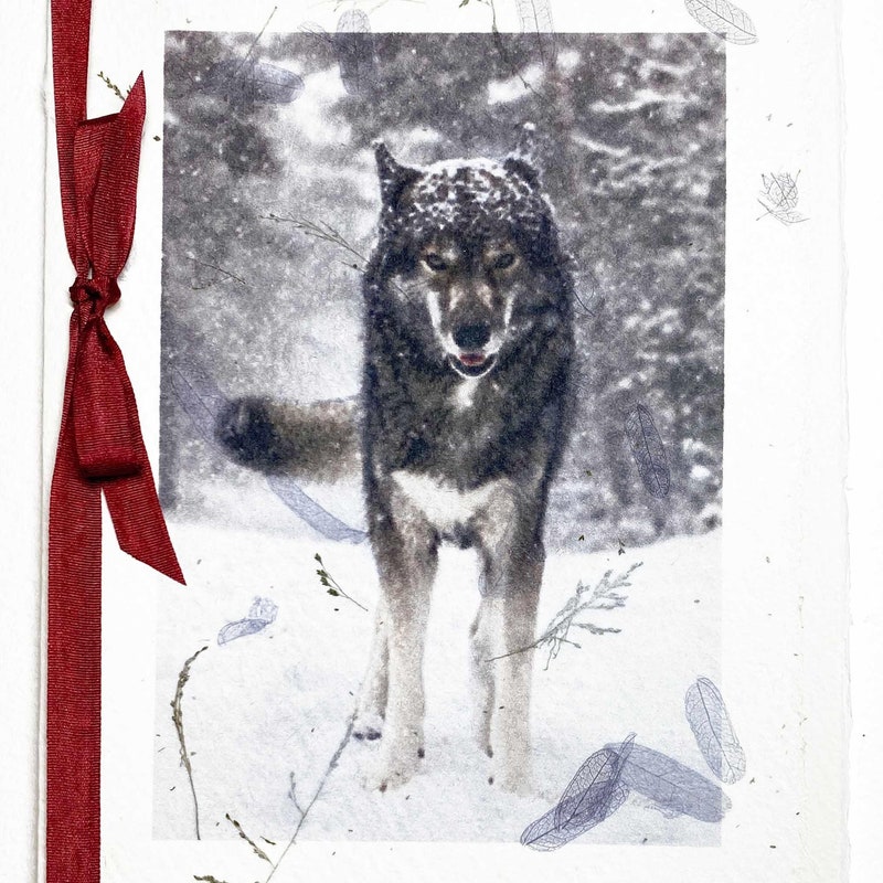 Wildlife Christmas Cards - Etsy