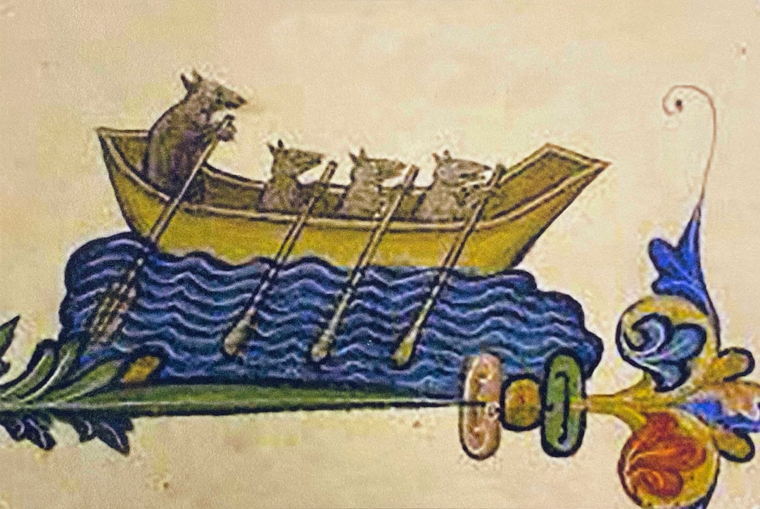 Medieval Postcard-reprinted Medieval Postcard-rats in a Boat Postcard ...