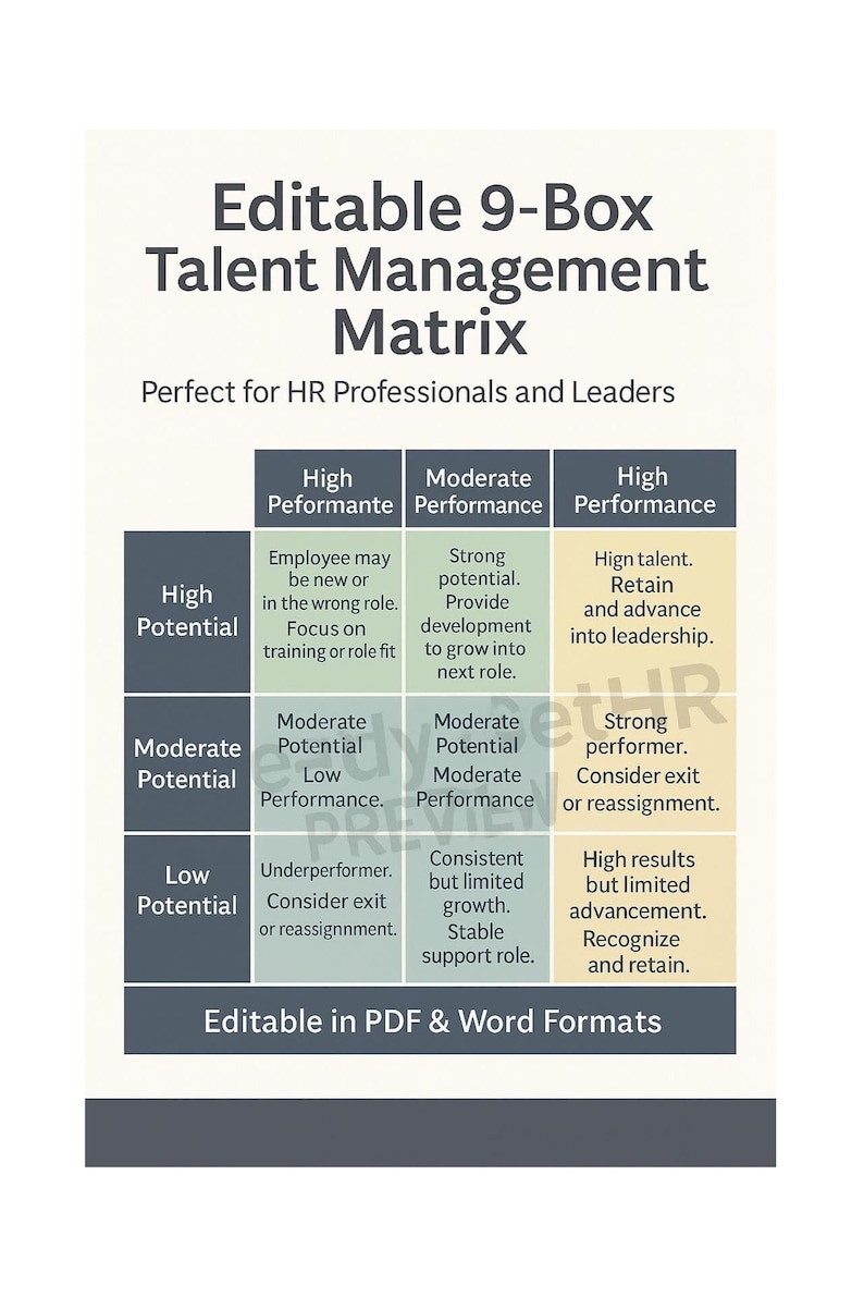 Editable 9-box Talent Management Matrix | Performance & Potential Grid for HR Professionals ...