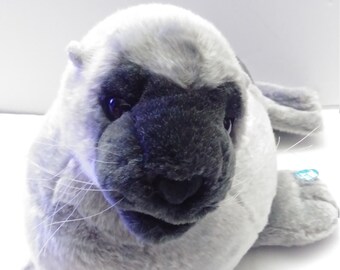 Discovery Plush - Etsy