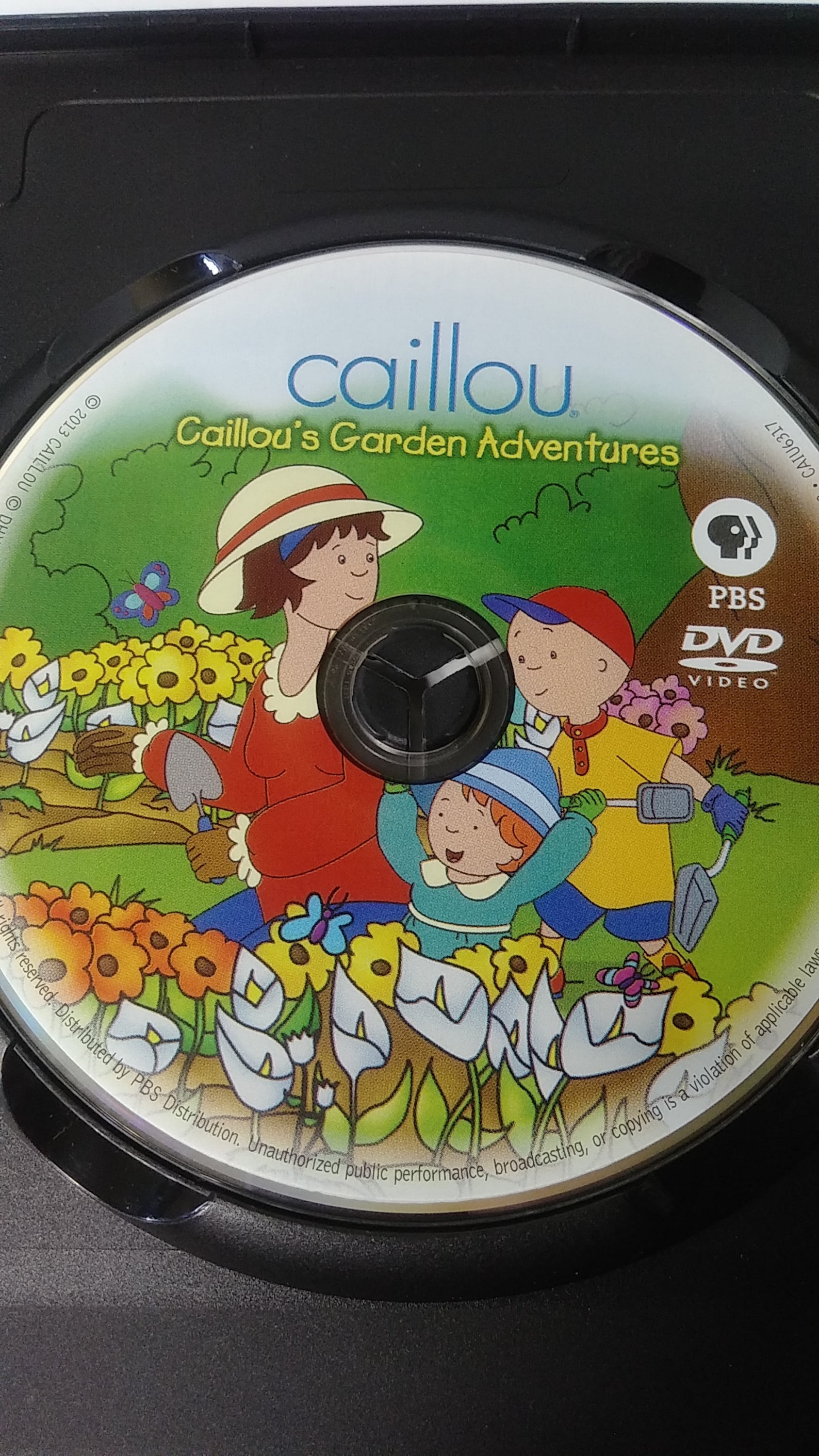 PBS Kids Caillou's Garden Adventures DVD - Etsy