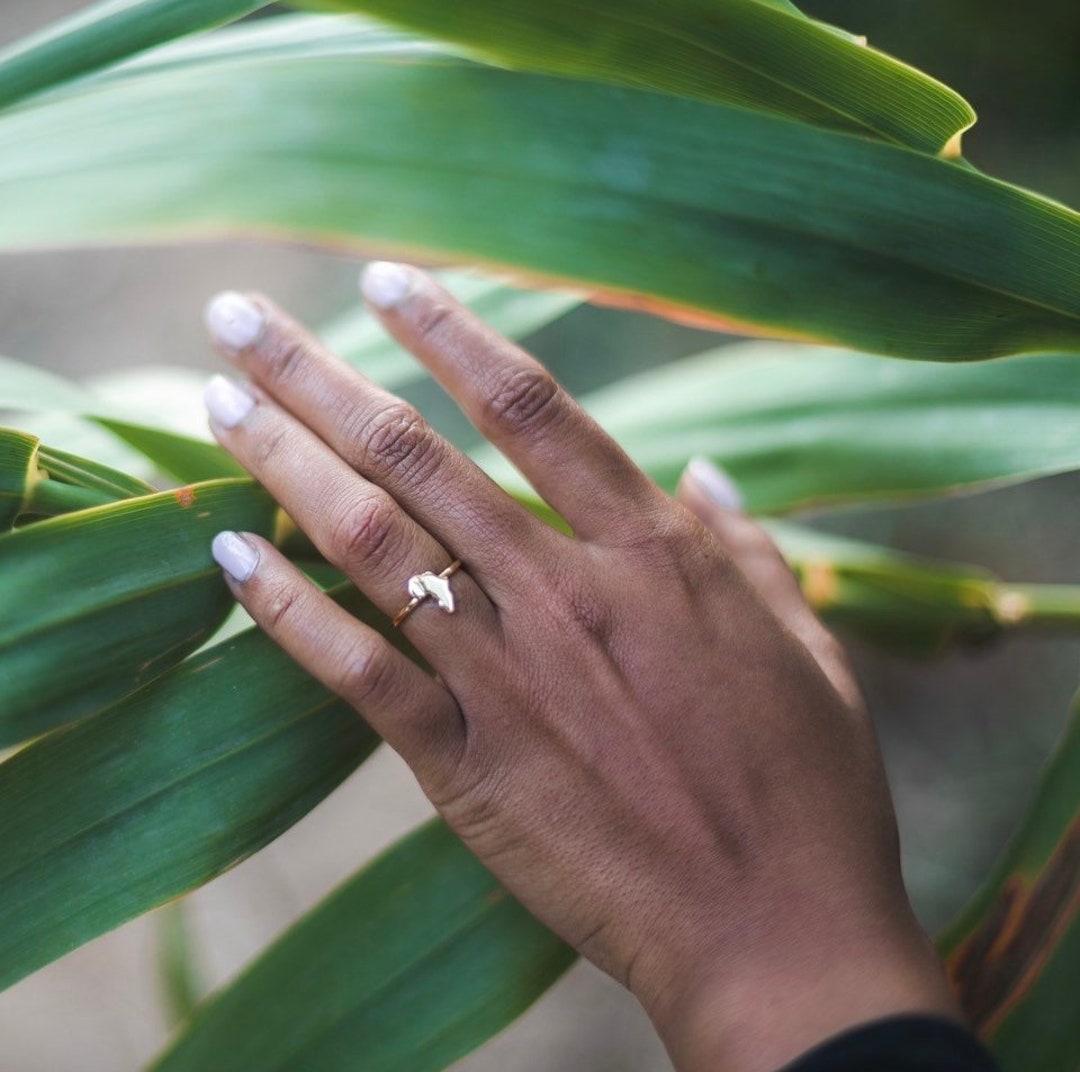 Africa Map Ring, Gold Band, Gold Zambia Map, Africa Map Ring ...