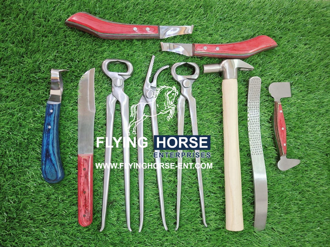 Professional Farrier Hoof Care Tool Set - Etsy