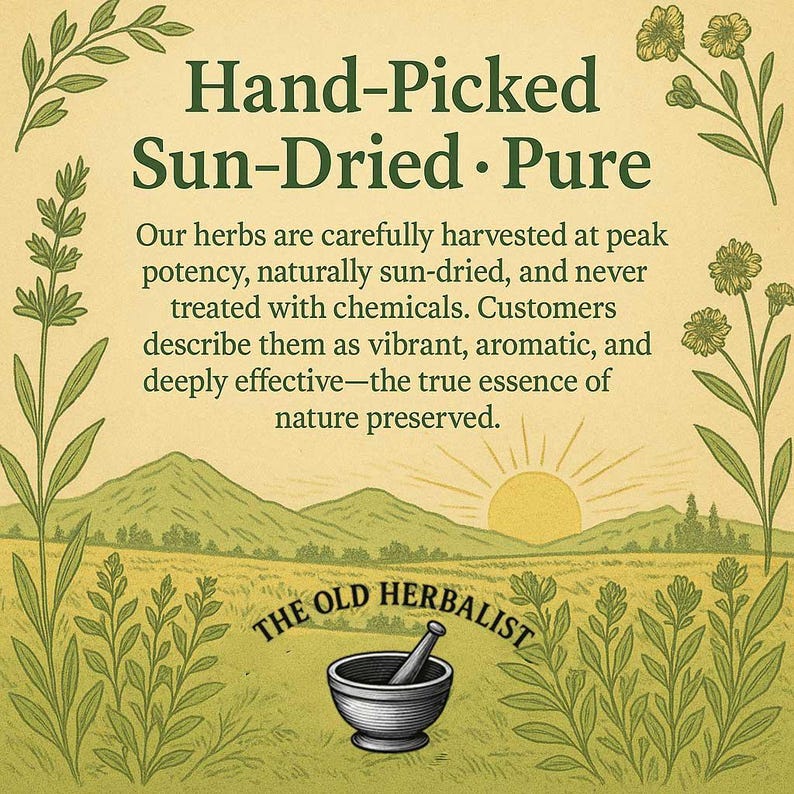 Mirtilo Desidratado – Vaccinium myrtillus - Etsy Portugal