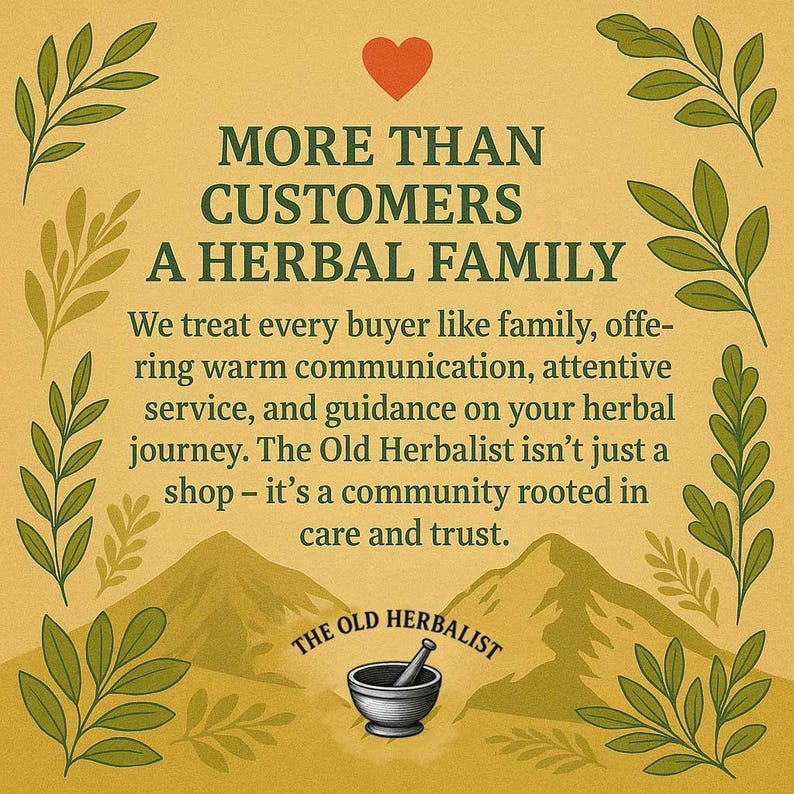 Raiz de ruibarbo – Rheum palmatum para chá - Etsy Portugal