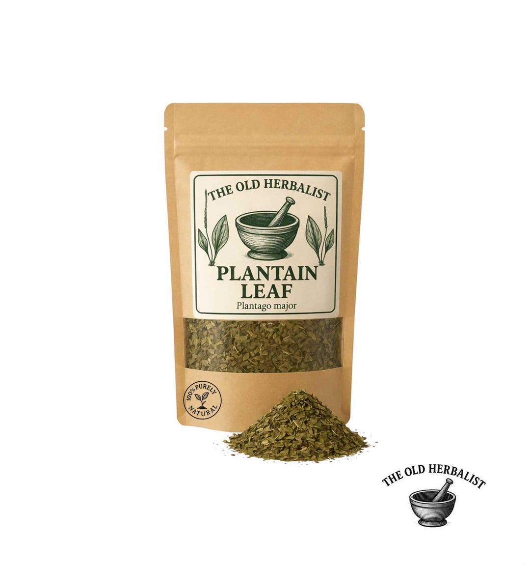 Plantain Leaf | Plantago Major | Loose Leaf - Etsy