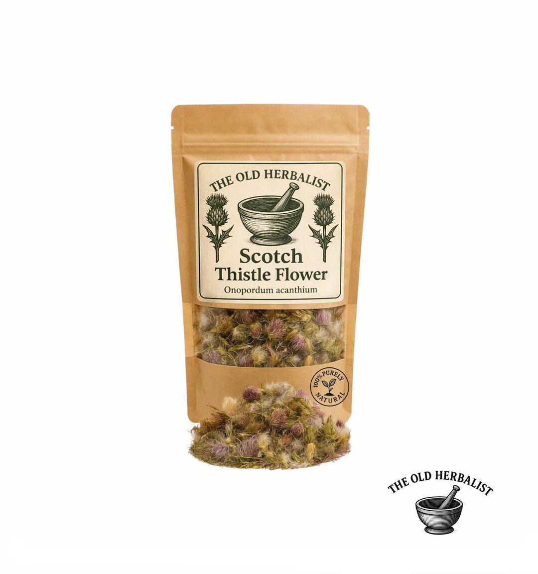 Scotch Thistle Flower - Onopordum Acanthium Loose Leaf Herbal Tea - Etsy