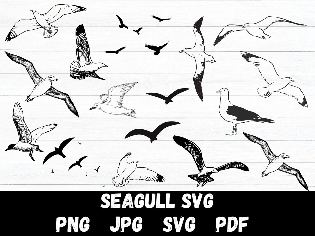 Seagull SVG Bundle, Flying Seagull Svg, Seagull Silhouette, Bird Svg ...