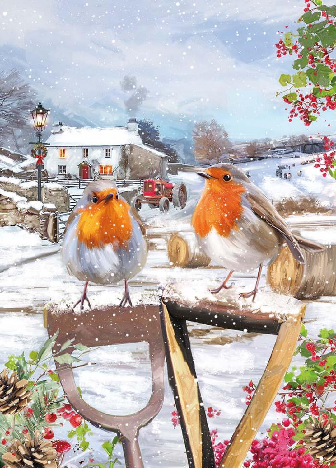 Christmas Robins Christmas Card 162 - Etsy UK