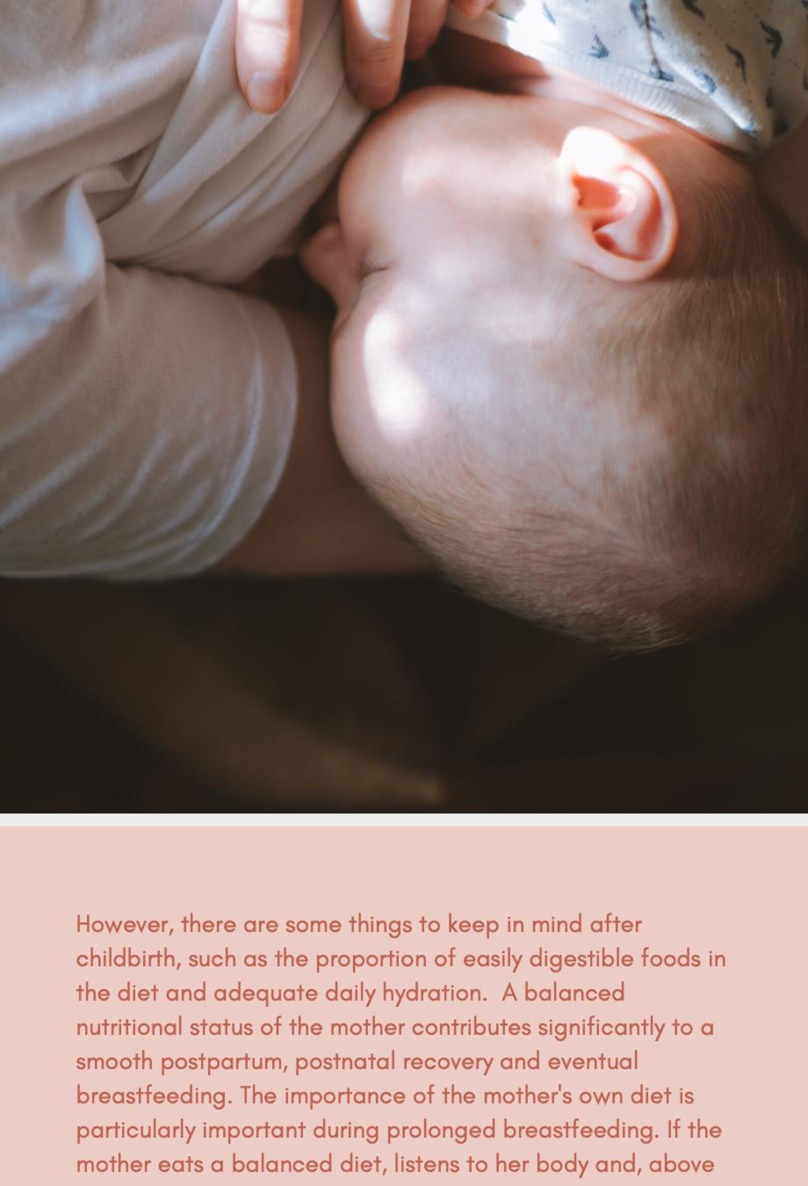 The Nourishing Postpartum Food Plan –30 Healing Recipes for New Moms ...
