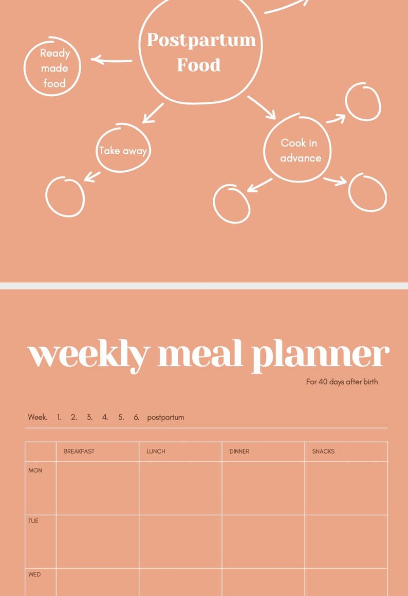 The Nourishing Postpartum Food Plan –30 Healing Recipes for New Moms ...