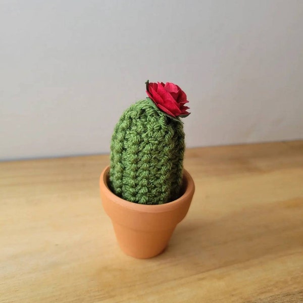 Knit Cactus - Etsy
