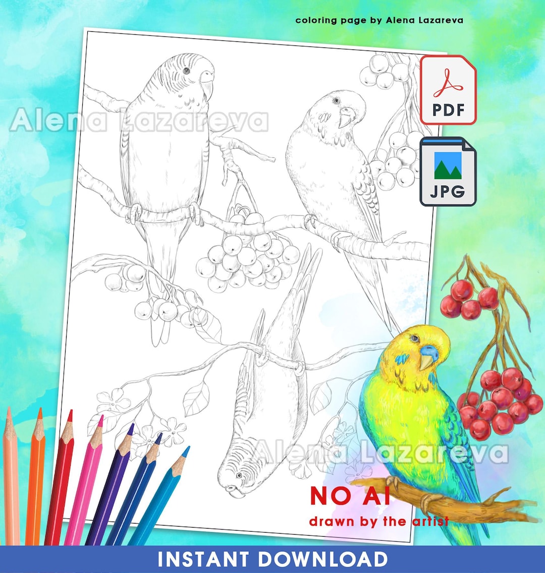 Parrot & Budgie Coloring Pages: Hand-drawn Birds (PDF + JPEG Digital ...