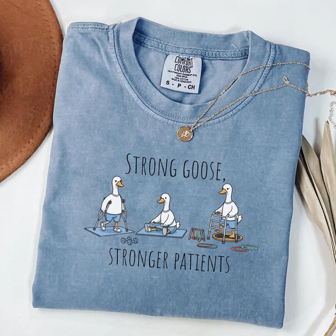 Silly Goose Physical Therapy Shirt,funny Physical Therapist Shirt ...