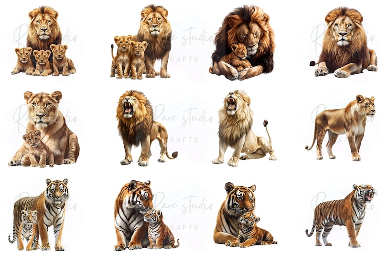 Watercolor Safari Animal Clipart Bundle, Jungle Pngs (digital Download ...