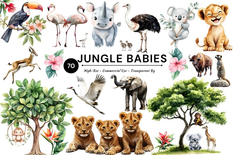 Jungle Baby Animals PNG Clipart Bundle, Safari Nursery Illustrations - Etsy