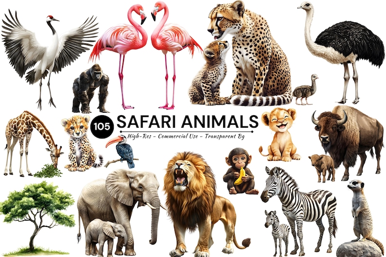 Watercolor Safari Animal Clipart Bundle, Jungle Pngs (digital Download ...