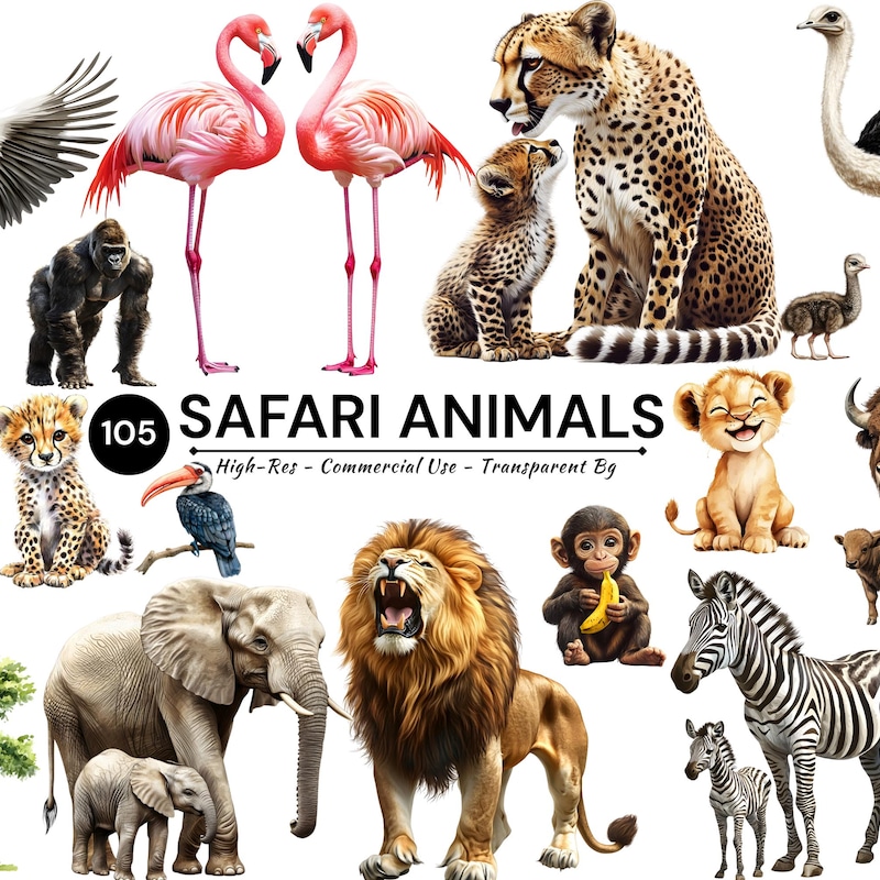 Safari Clip Art - Etsy