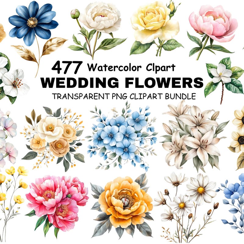 Watercolor Flowers Set of 6 - Etsy Israel