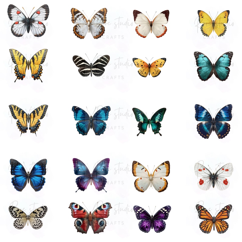 Watercolor Butterfly Clipart Bundle PNG Transparent Butterflies Floral ...