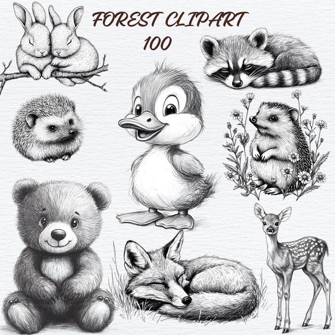 Woodland Forest Animal Clipart Set Baby Animals Nursery Illustration ...