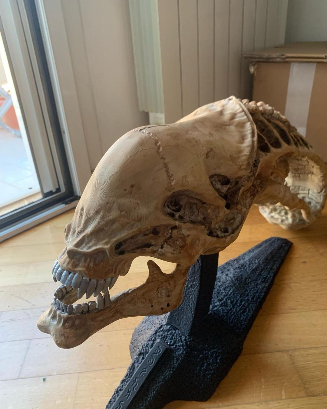 Alien Xenomorph Skull Replica 1:1 / Handmade 3d Printed and Paint ...