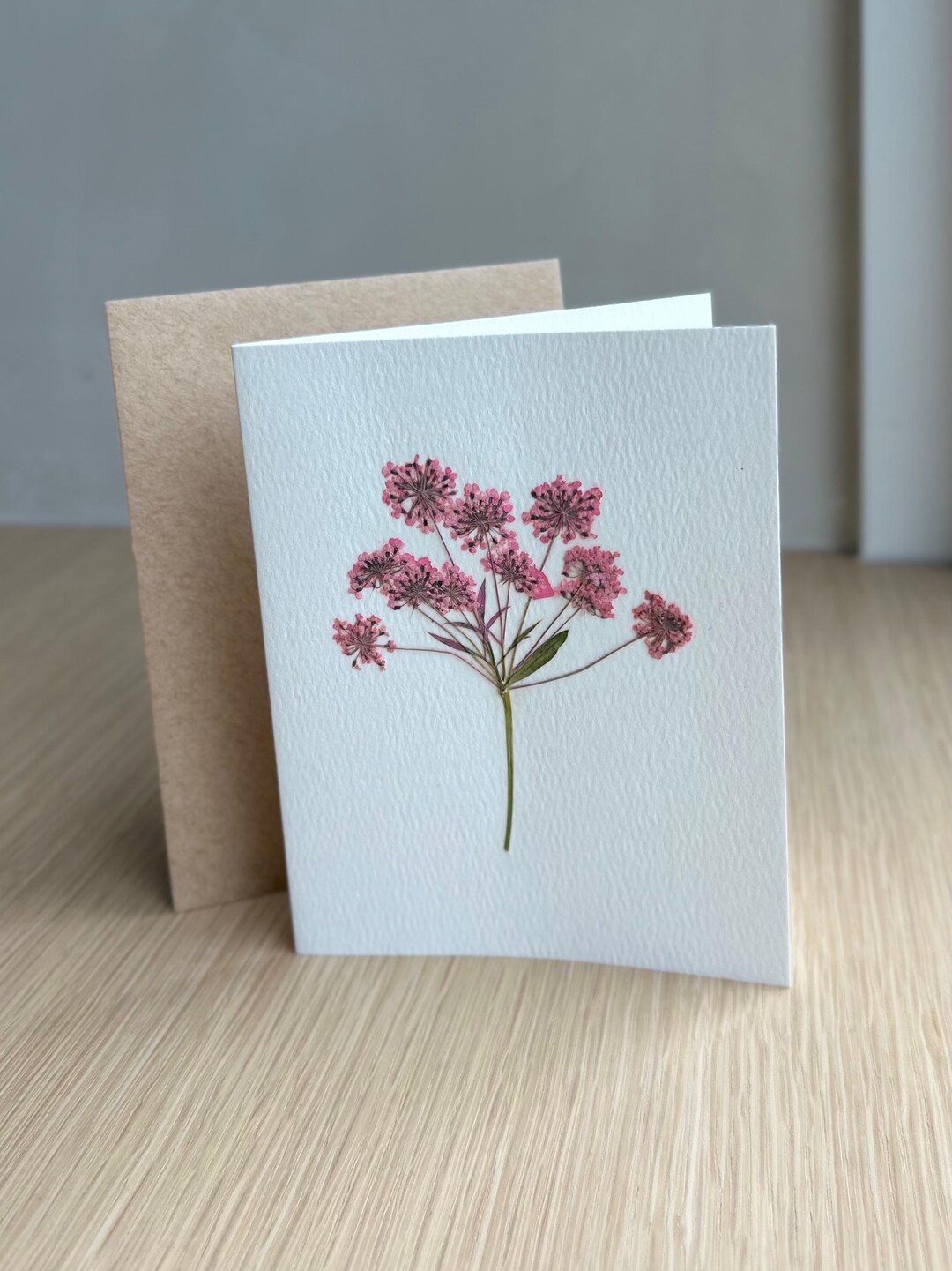 Pressed Queen Anne's Lace Flower Card: Handmade Botanical Art Keepsake ...