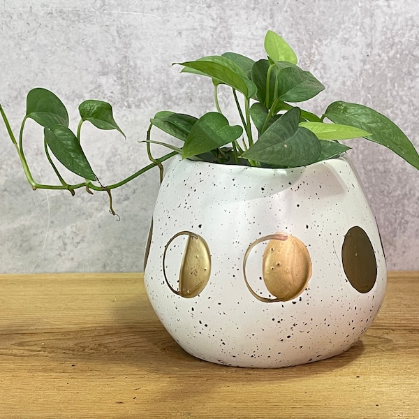 Moon Plant Pot - Etsy