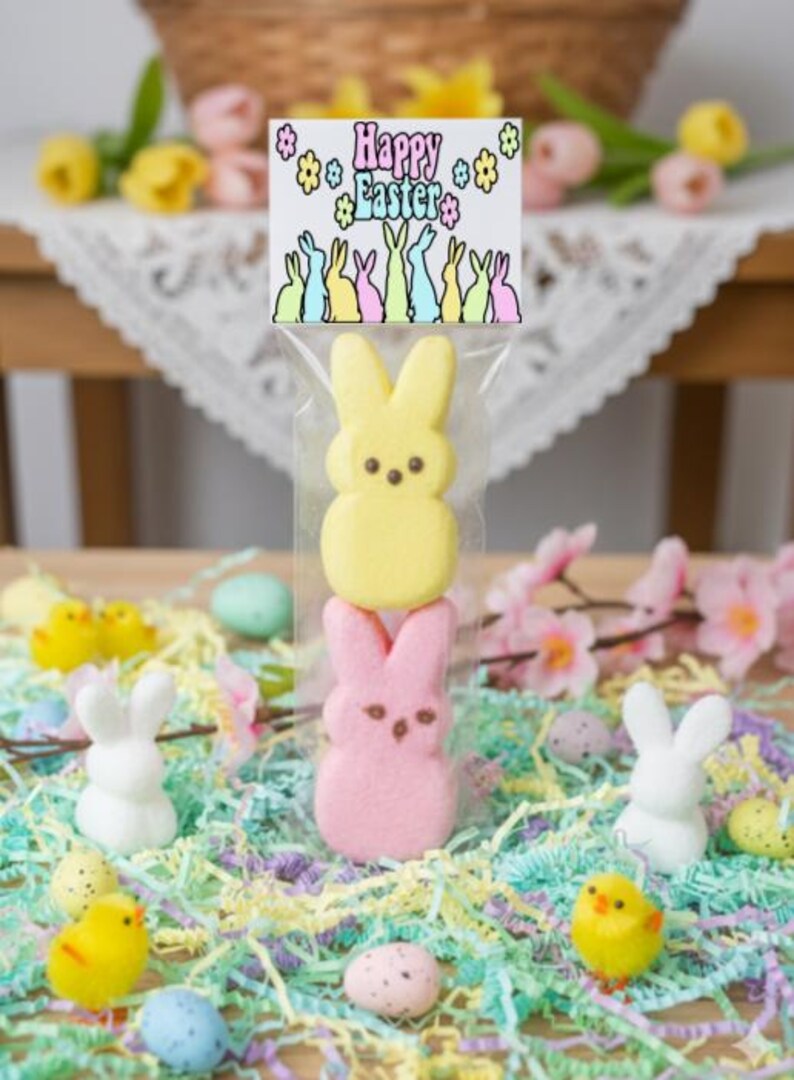Pre-filled Easter Bunny Peeps Treat Bags, Classroom Favors - Etsy
