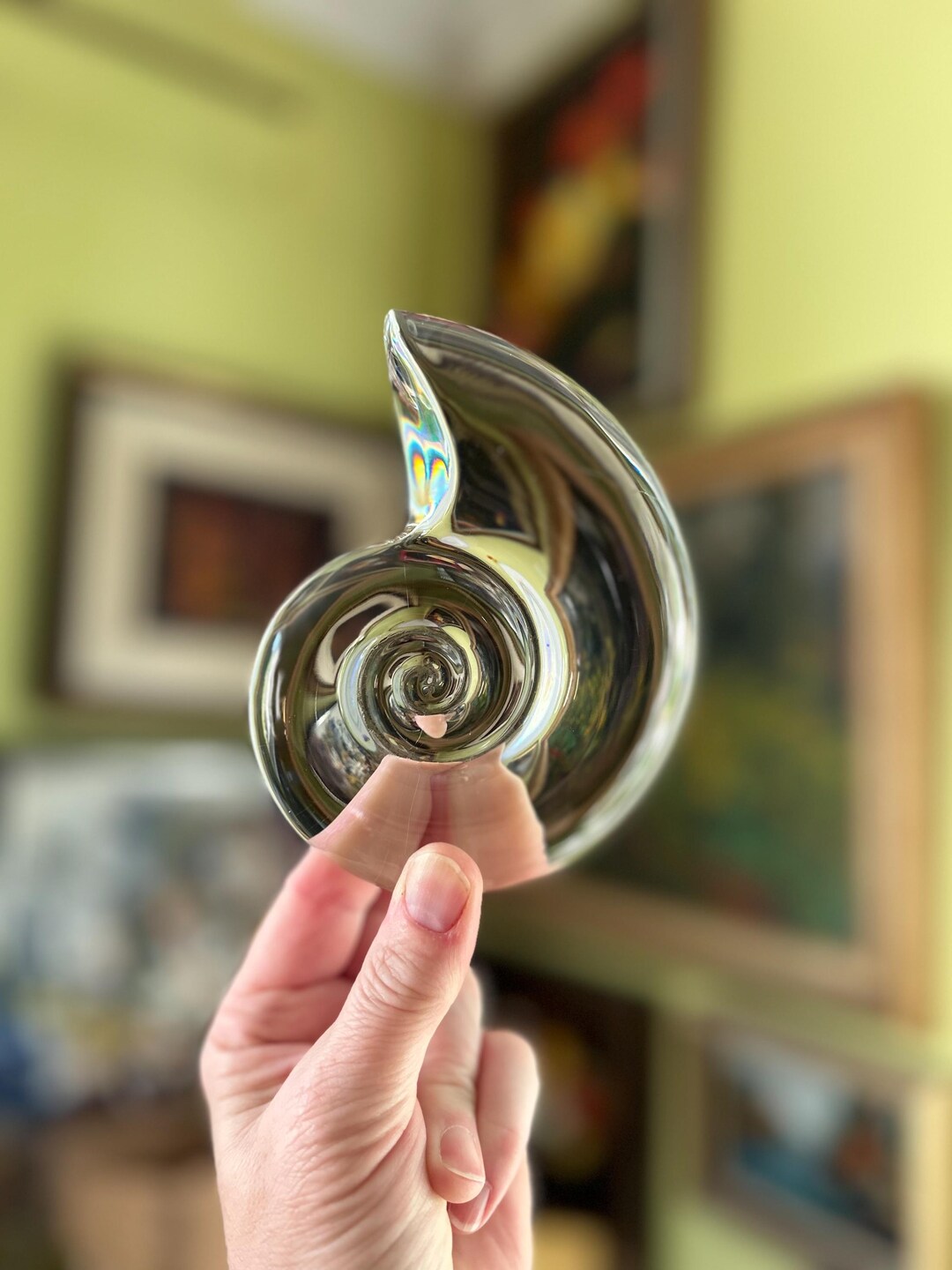 Val St. Lambert Crystal Glass Nautilus Shell Paperweight Sculpture - Etsy