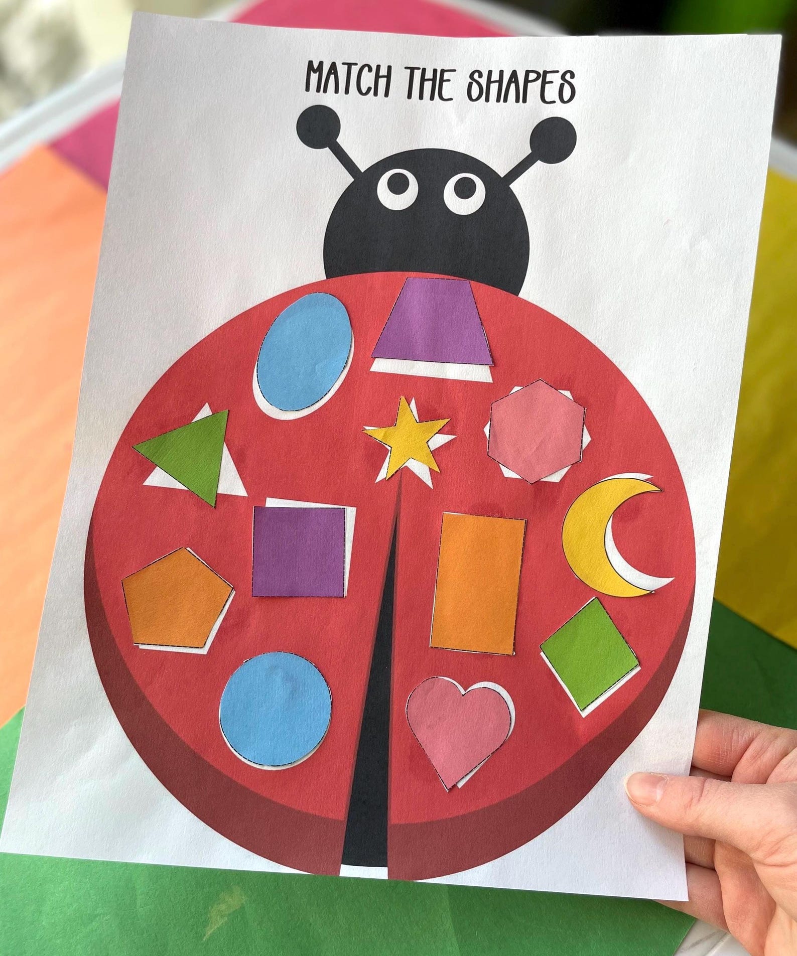 Ladybug Shapes Matching Activity: Toddler Busy Book Printable (PDF ...