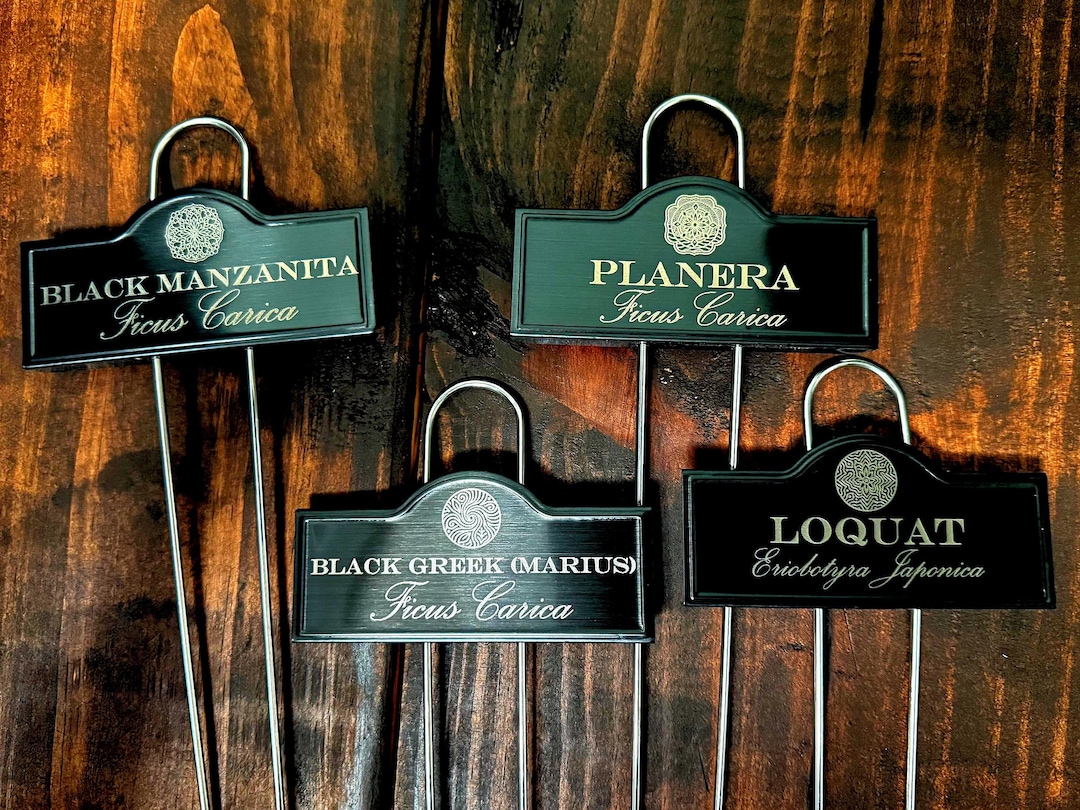 Custom Black Titanium Coated Stainless Steel Plant Markers: Engraved ...