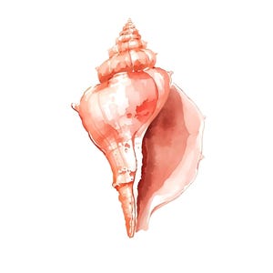 Conch Shell Painting - Digital Download - Etsy