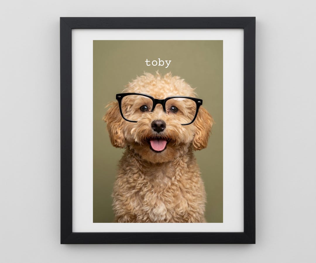 Schnoodle Poster - Custom Print of Your Schnoodle From Photo - Dog Wall ...