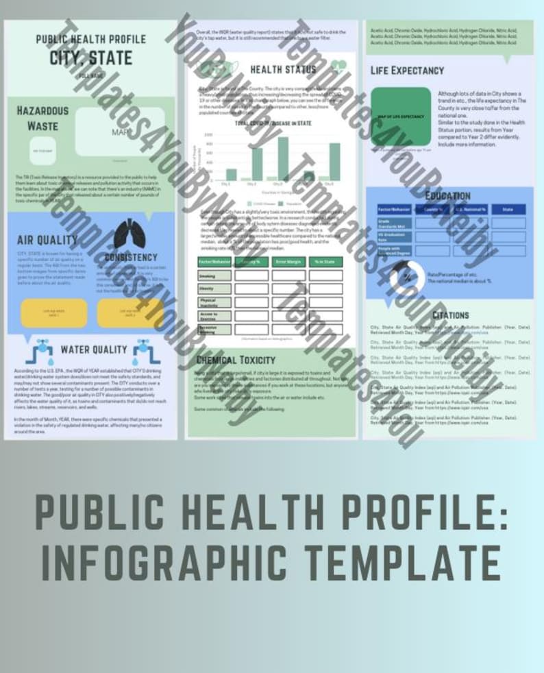 Public Health Profile Infographic Template, Easy and Quick Digital ...