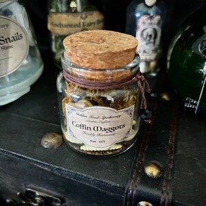 Coffin Maggots Apothecary Jar / Realistic Maggots for Halloween ...