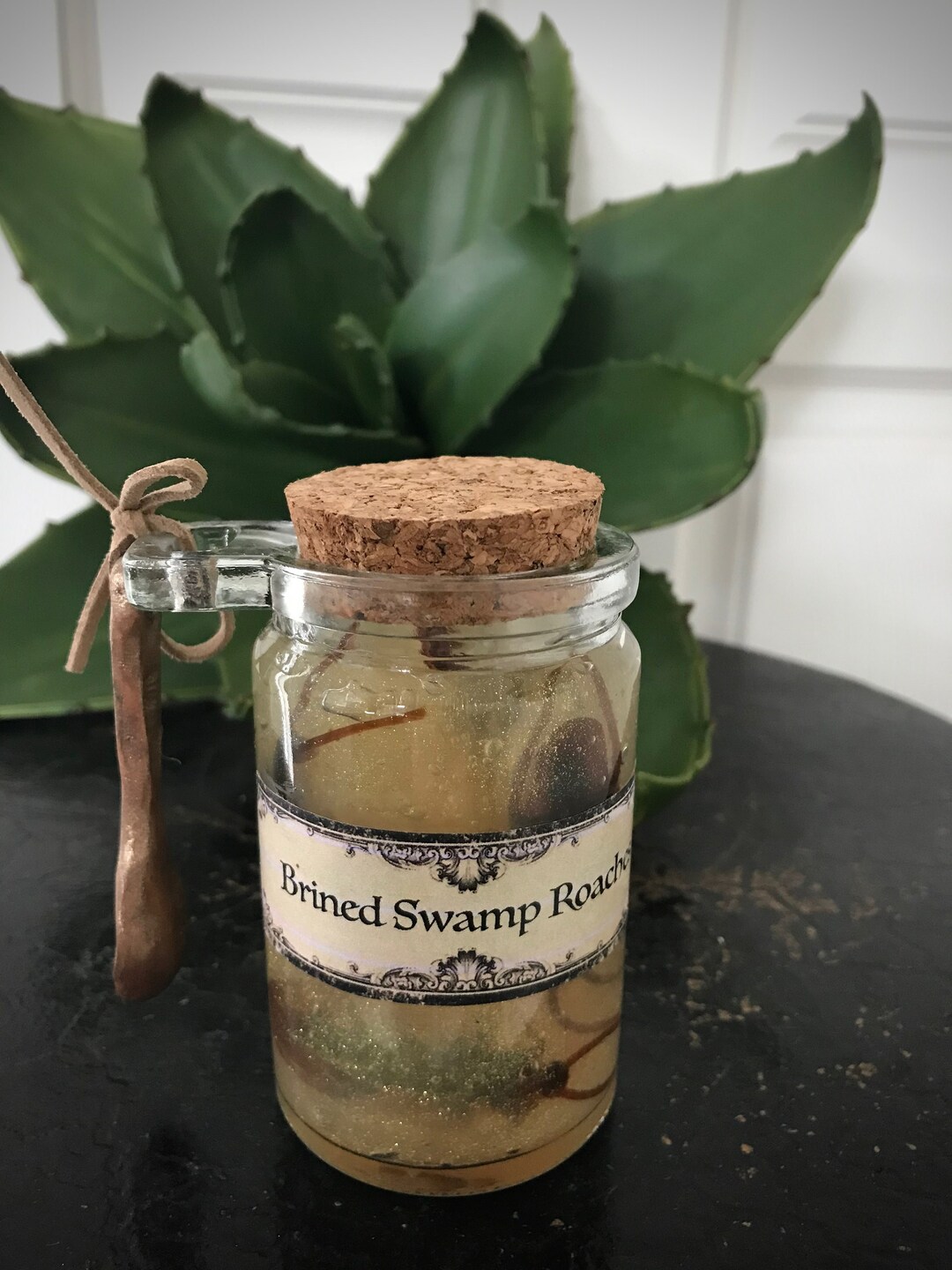 Brined Cockroaches Potion Ingredients / Halloween Apothecary - Etsy