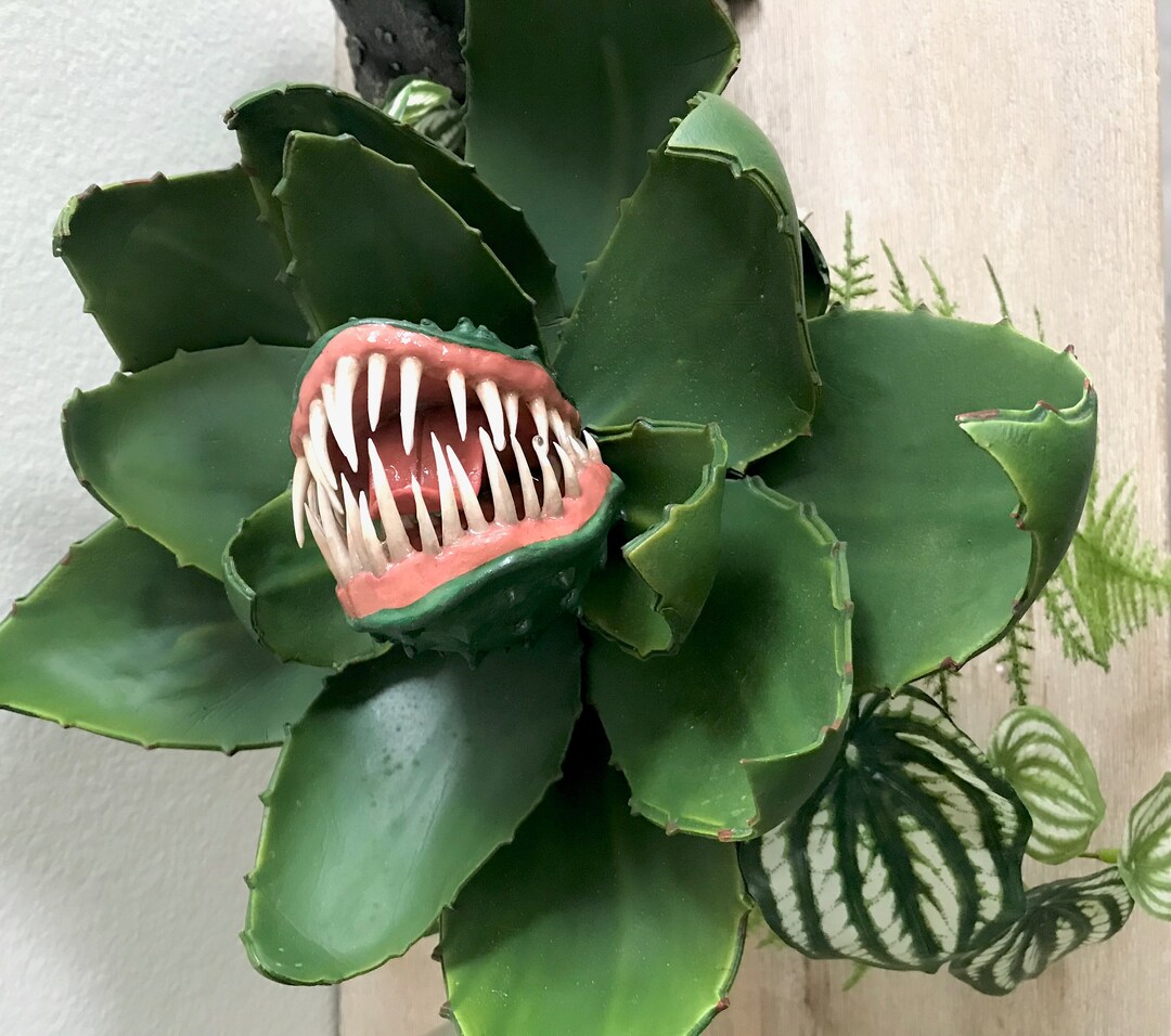 Monster Plant / Halloween Houseplant Carnivorous / Audrey 2 Man-eating ...