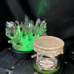 Bog Leeches / Potion Ingredients / Halloween Apothecary Jars / Magical ...