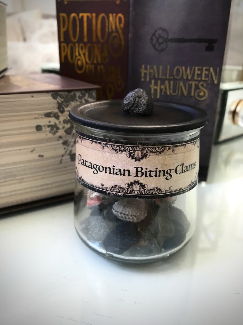 NEW Biting Clams Apothecary Jars / Halloween Potion Bottles / Spell ...