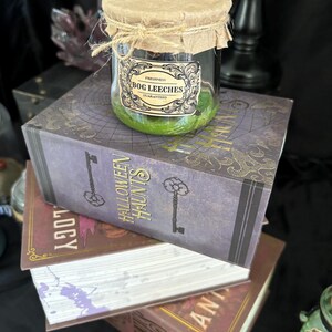 Bog Leeches / Potion Ingredients / Halloween Apothecary Jars / Magical ...