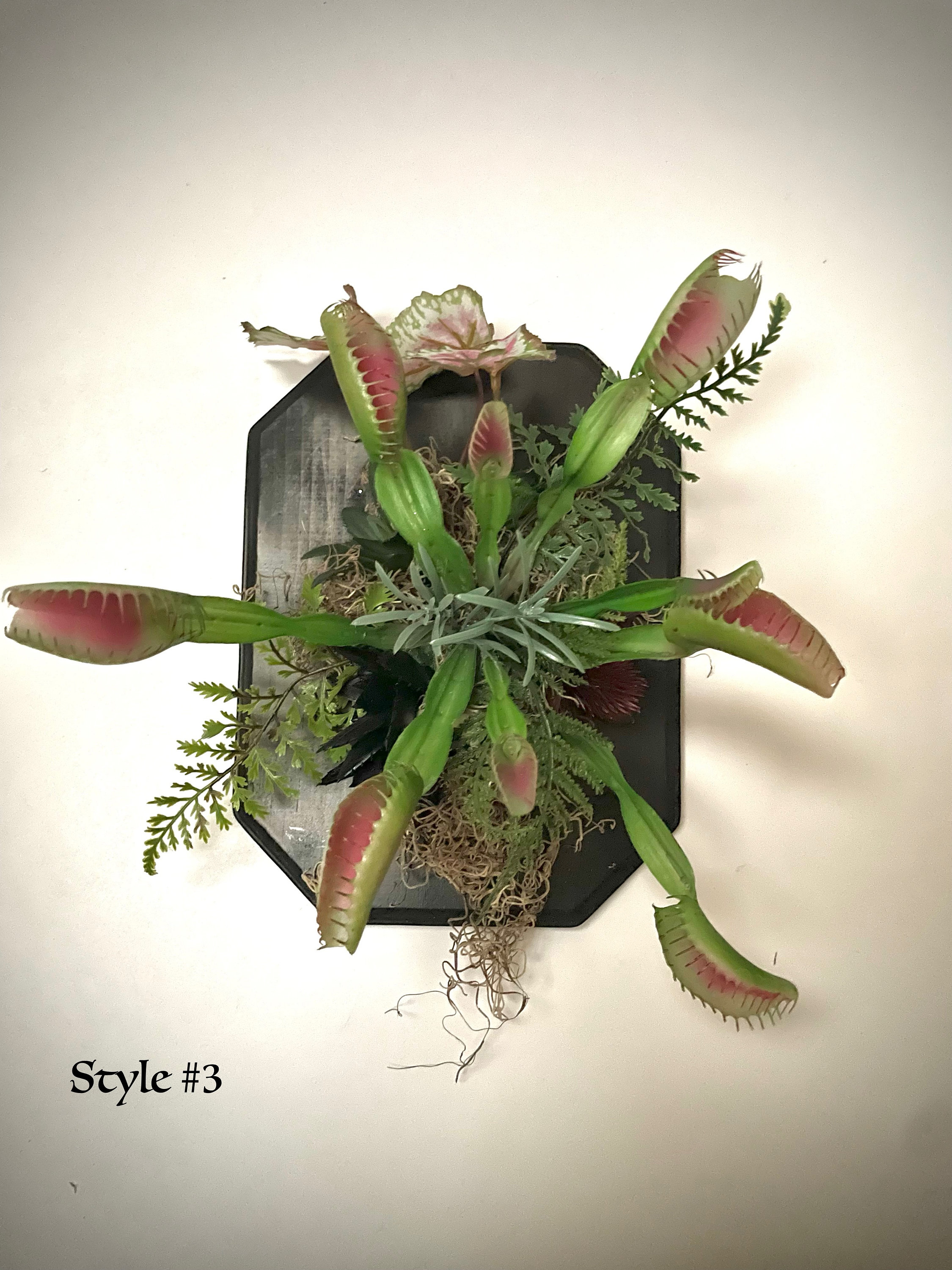 Carnivorous Plant Wall Art / Dark Forest / Halloween Decor/ Venus Fly ...